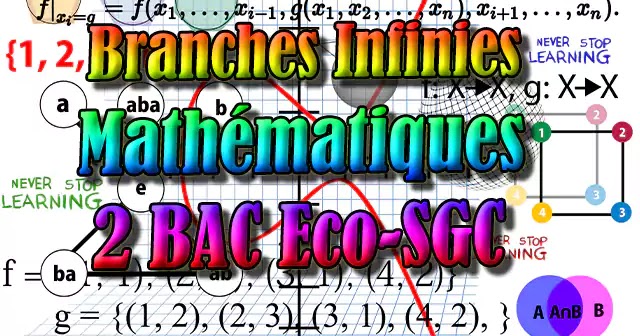 Branches Infinies 2 Bac Sciences Économiques et Sciences de Gestion ...