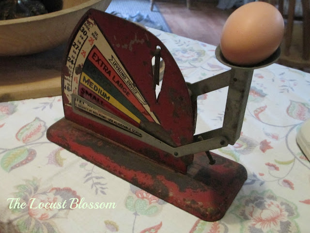 The Locust Blossom: Pullet Eggs and Antique Egg Scale