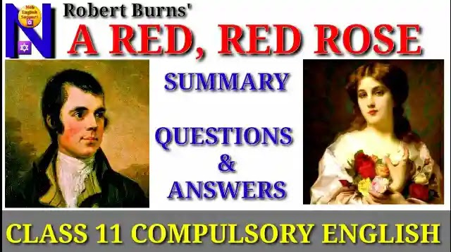 A Red, Red Rose by Robert Burns | Summary & Questions and Answers ...
