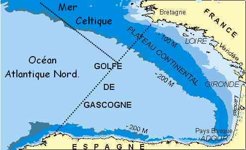 Les Dauphins de Ouessant au Gouf de Capbreton.: Guide des cétacés du ...