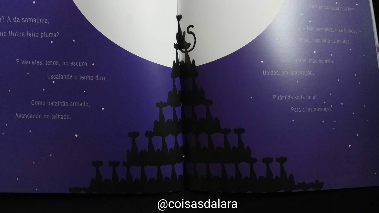 COISAS DA LARA: Resenha A lua dentro do coco