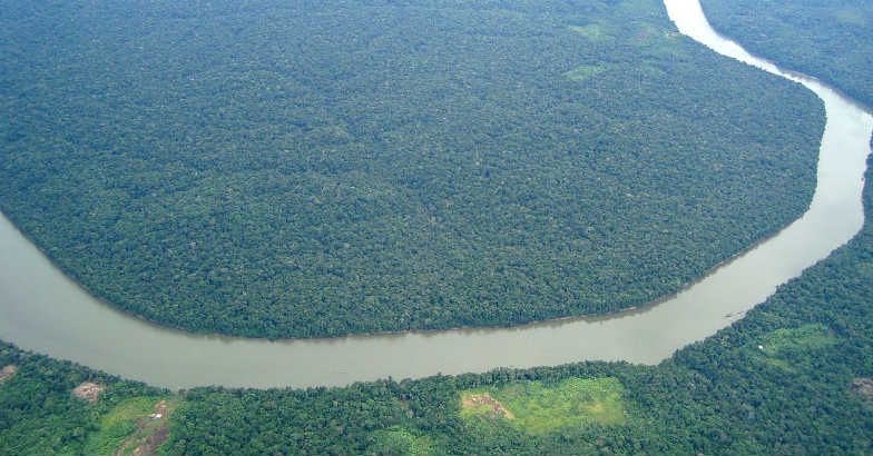 Musings 'n scribblings of a philanthrope .. : Coral Reefs at the Amazon ...