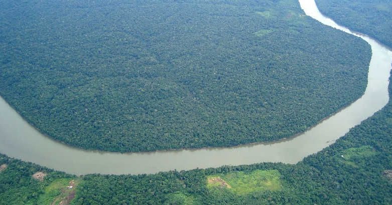 Musings 'n scribblings of a philanthrope .. : Coral Reefs at the Amazon ...