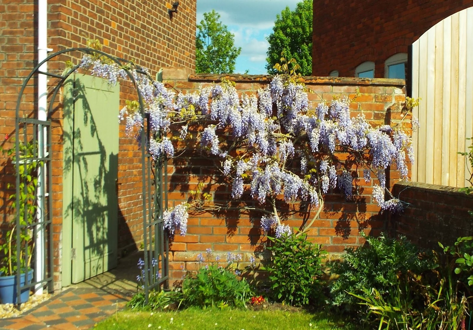 Reinterred: River Linnet Walk