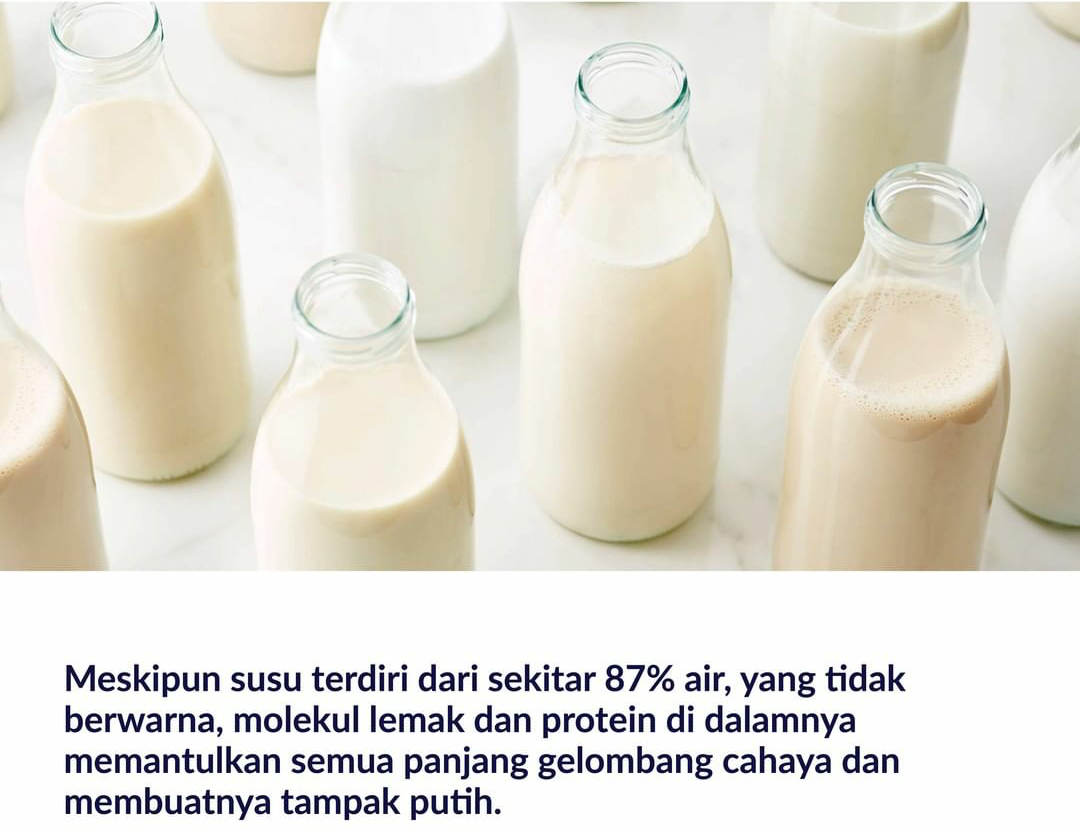 8 hal tentang susu yang mungkin nggak kamu tahu