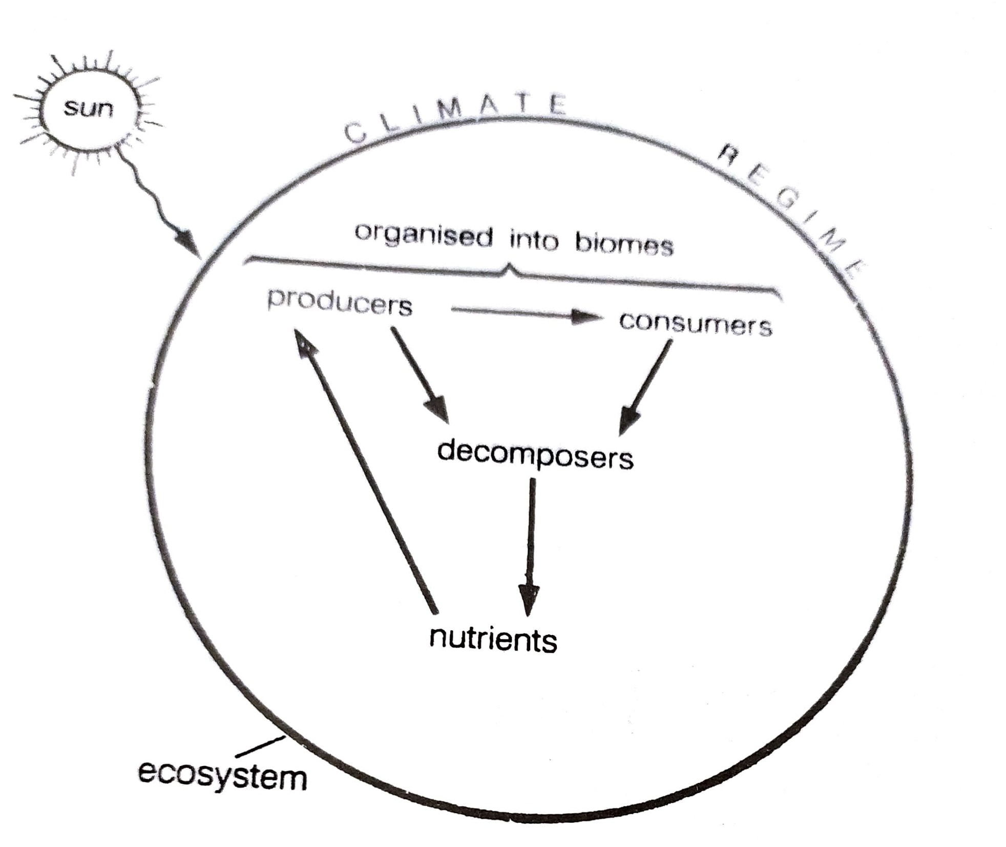Approaches to Ecology : Its Main Subdivisions and Developmental Facets