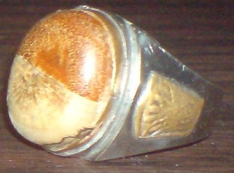 alamcyber 2020: RAHSIA KAYU HUJAN PANAS ATAU TAS