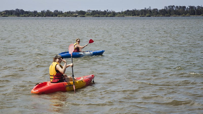 happicampr: Yamba - Big 4 Saltwater