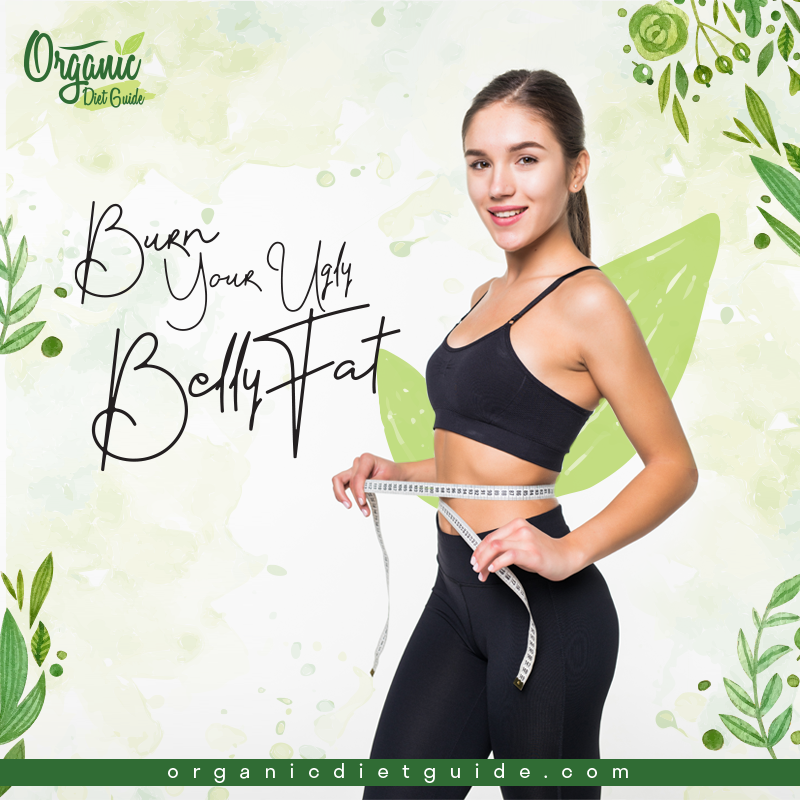 Organicdietguide The Flat Belly Fix Review Your Complete Guide