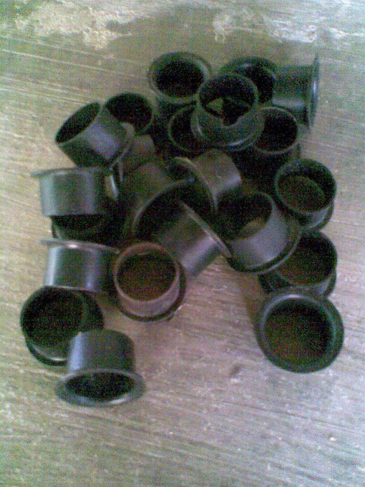 BUDIDAYA JAMUR TIRAM PUTIH | kami melayani segala kebutuhan budidaya jamur