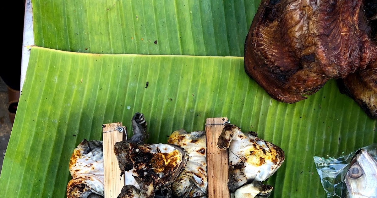 [後記] 原來是遺傳 / 偽背包客 FAKE BackPacker