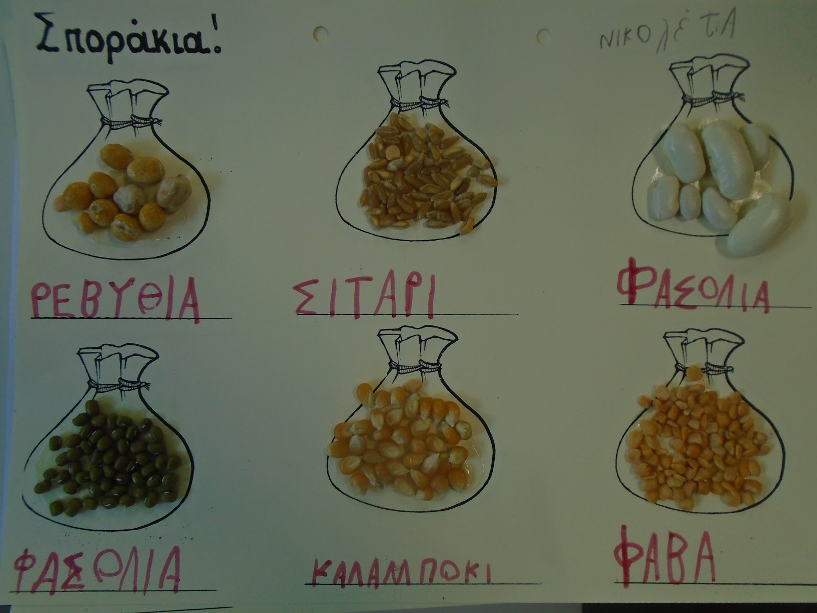 5 ΝΗΠΙΑΓΩΓΕΙΟ ΚΑΛΑΜΑΤΑΣ : ΔΡΑΣΤΗΡΙΟΤΗΤΕΣ ΚΑΙ ΚΑΤΑΣΚΕΥΕΣ ΓΙΑ ΤΗΝ ΣΠΟΡΑ