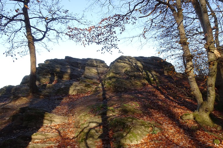 Taunus Wiesbaden: Großer Zacken