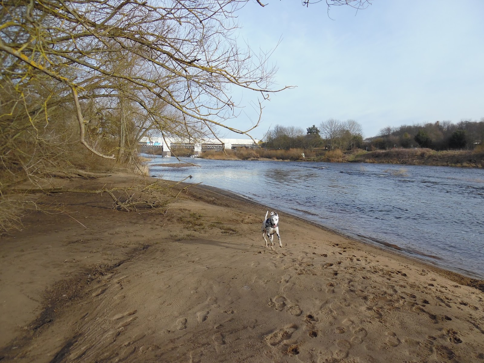 JEN BLACK: Ovingham Bridge re-opens