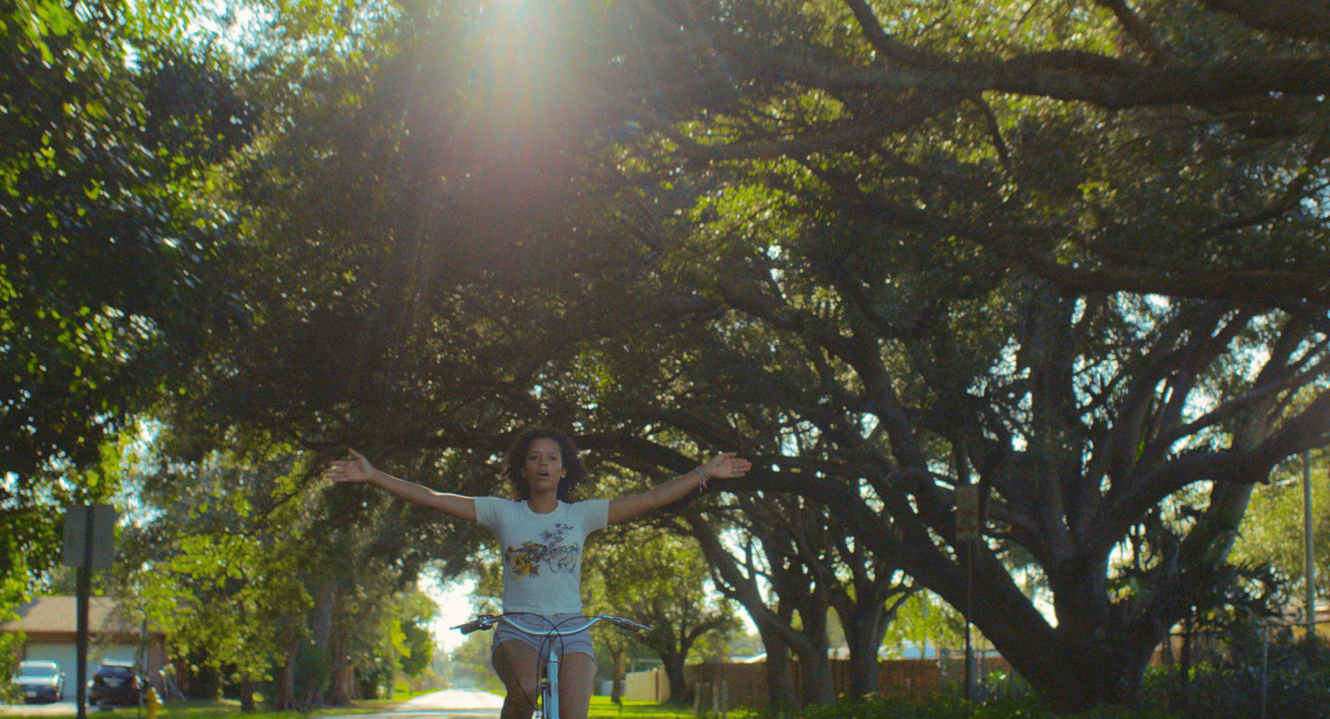 Crítica | Waves - Cinemaniac