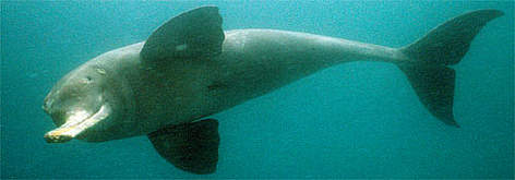 UPSC general studies and current affairs 2015: June 2012