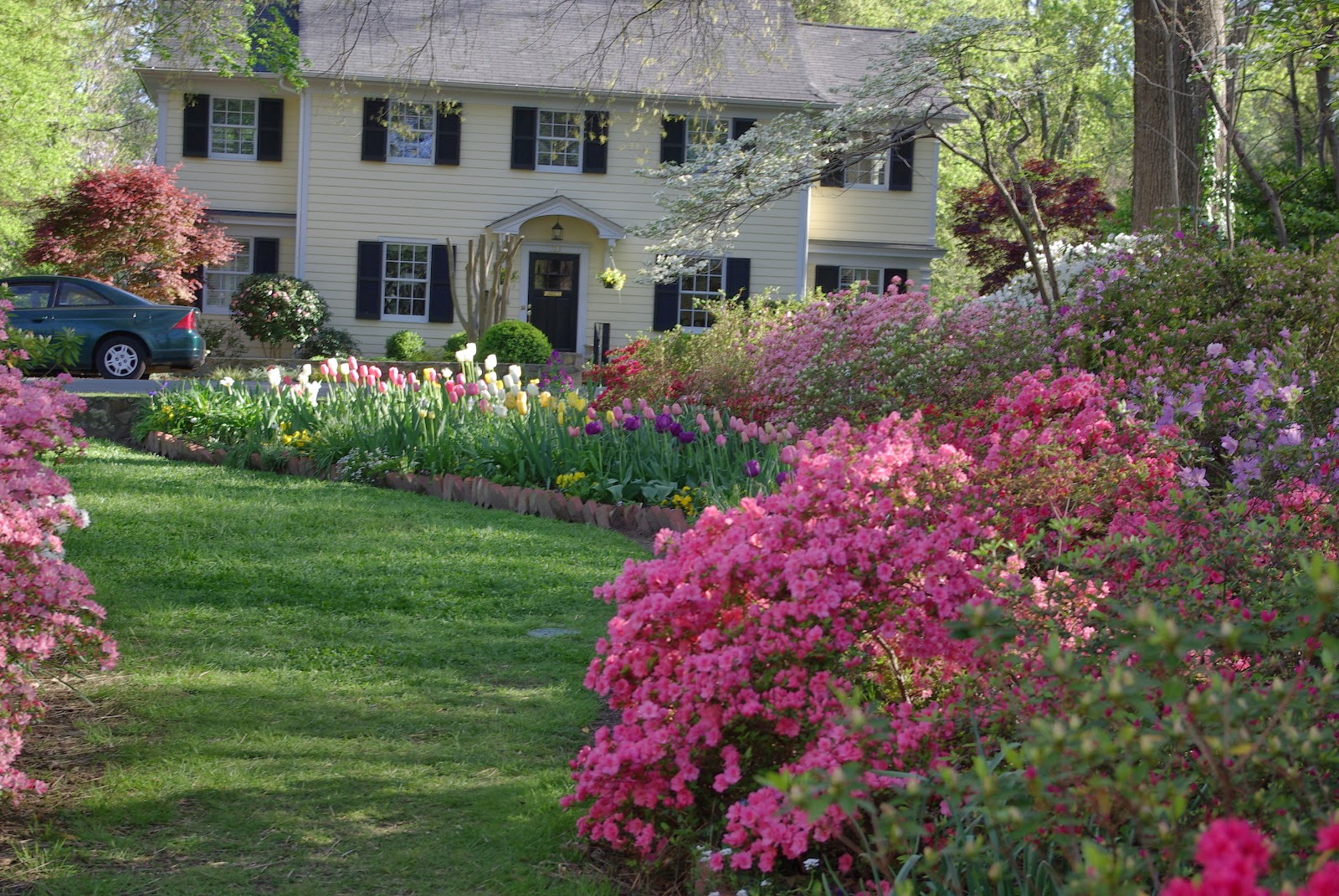 sweetbay: Blooming Friday ~ Sisters' Garden