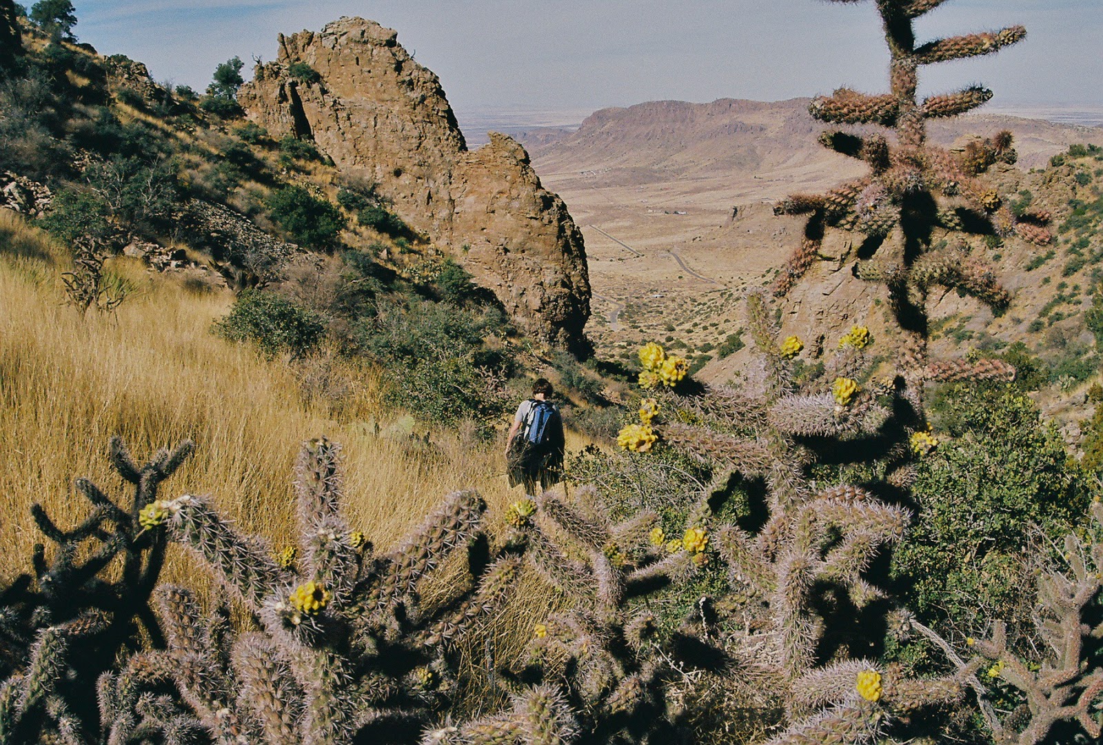 Southern New Mexico Explorer: Florida Mountains- Spring Canyon State Park