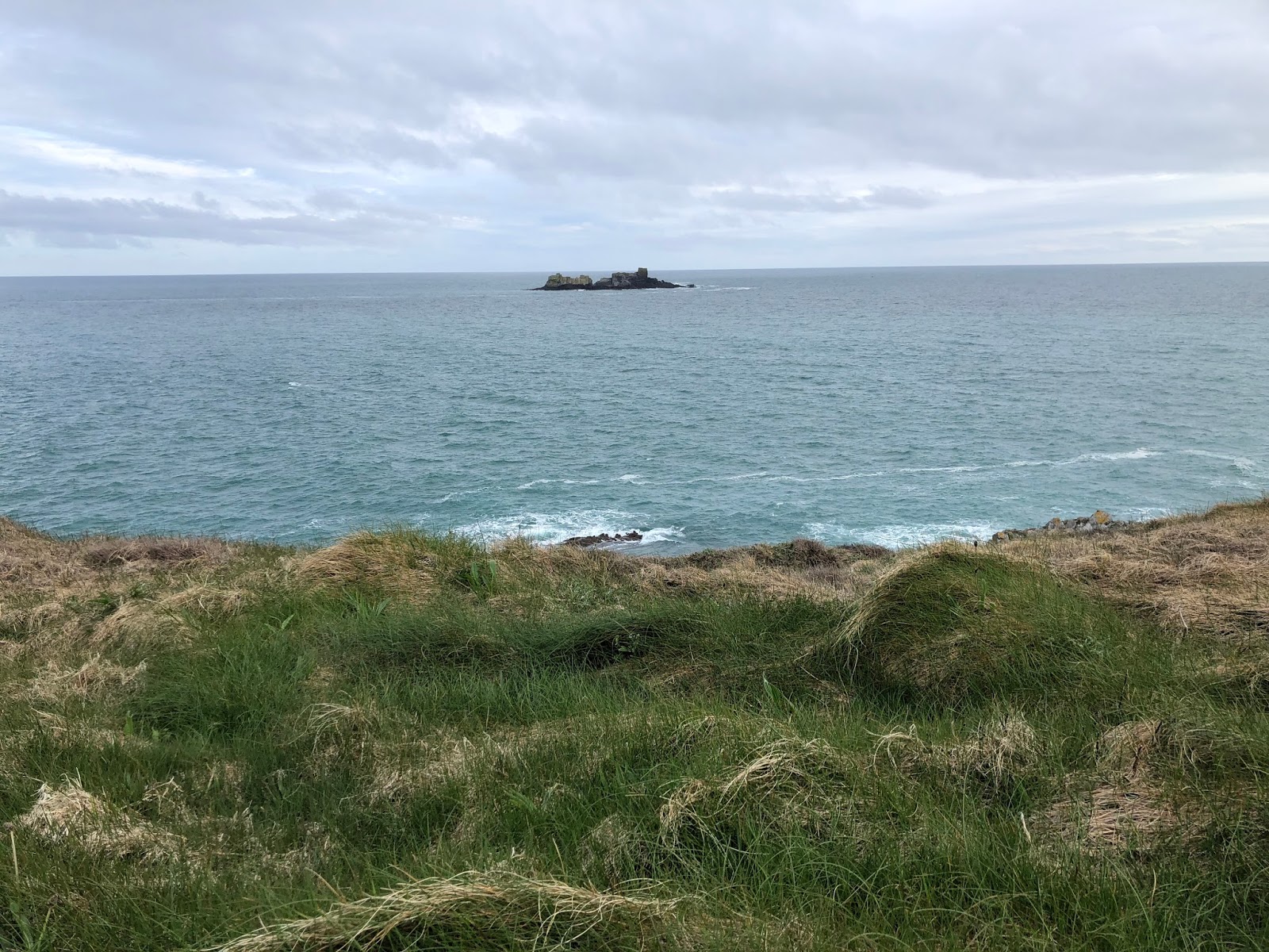 Wessex Wildlife: Return to Toe Head