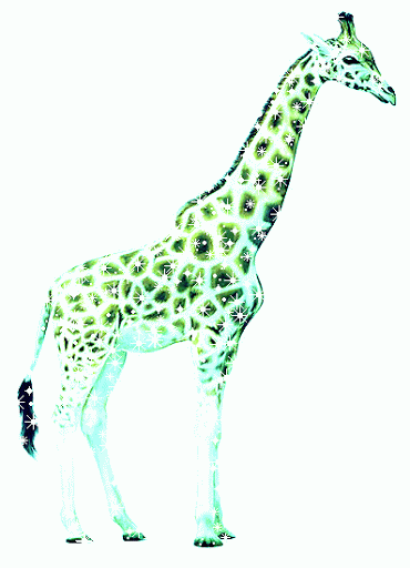 ® Colección de Gifs ®: GIFS DE JIRAFAS