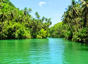 Top 10 Largest Watershed Forest Reserves in the Philippines - LISTPH
