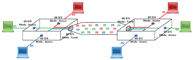 NETSOC: Understanding between Access Port and Trunk Port