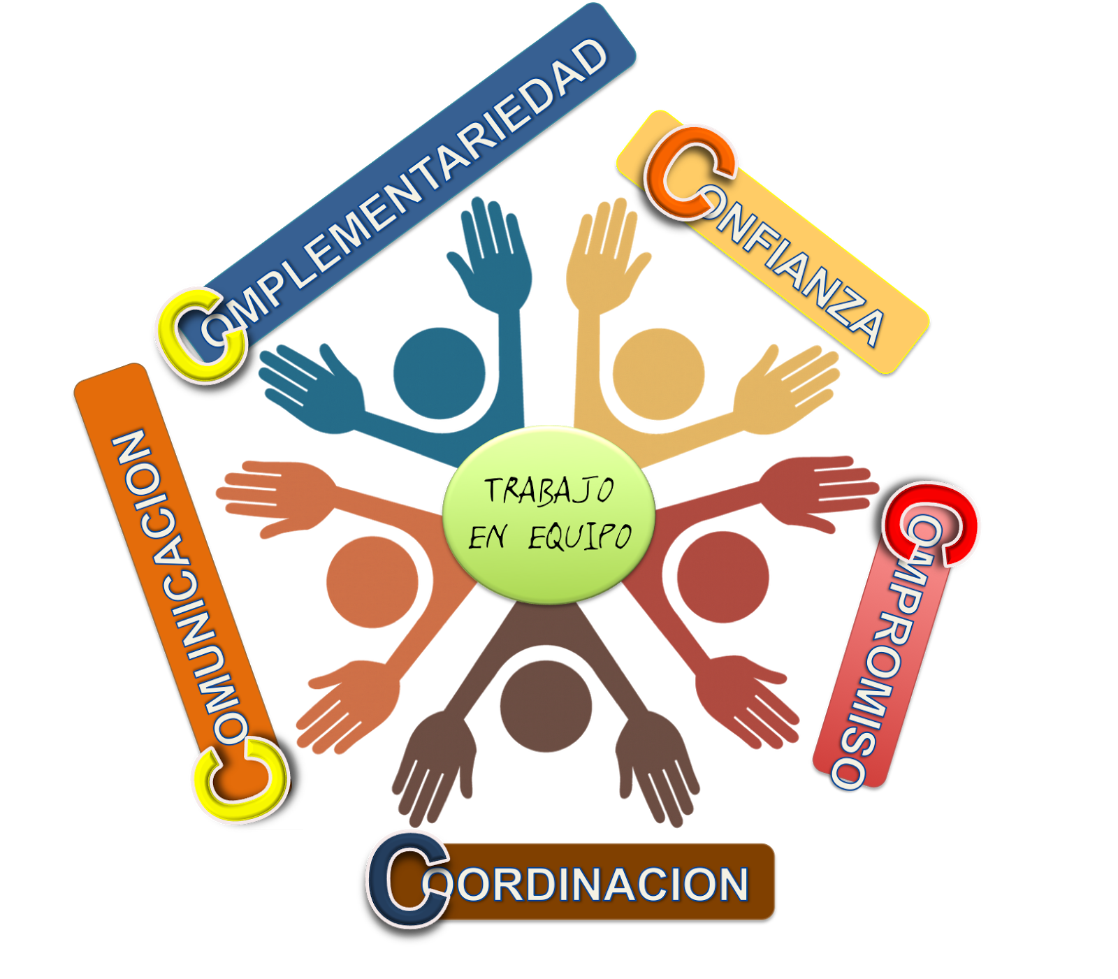 Las bases y Principios básicos del trabajo en equipo
