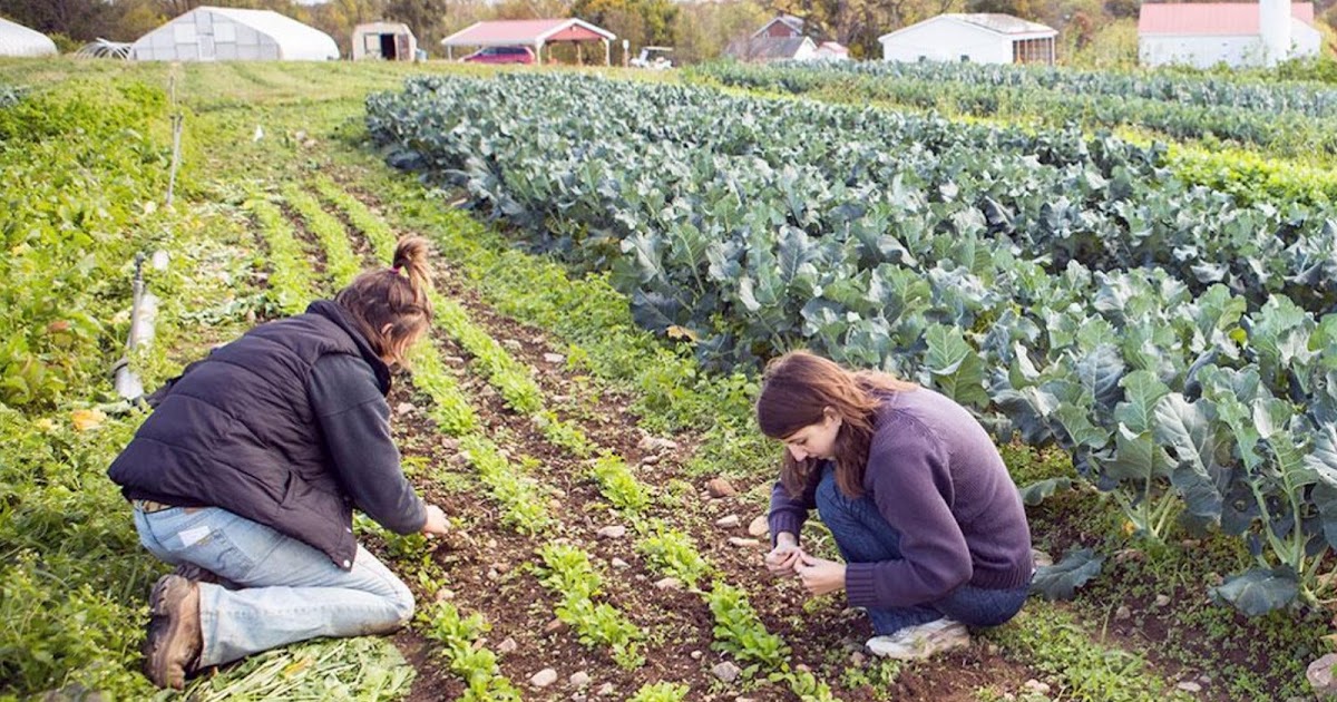 PA Environment Digest Blog: Agriculture Officials Visit Wilson College ...