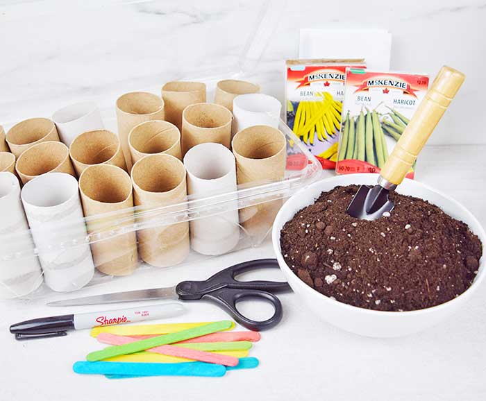 How to Make a Mini Greenhouse To Start Seeds Indoors + Tips - Koti Beth