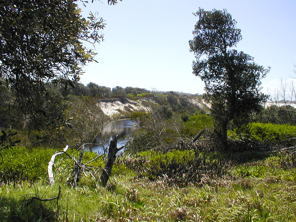 Days on the Claise: Iluka Beach