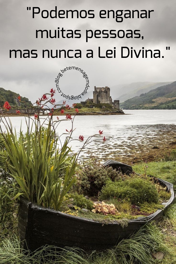 Mensagem do dia - Doutrina Espírita: QUEM ENGANA É O ENGANADO