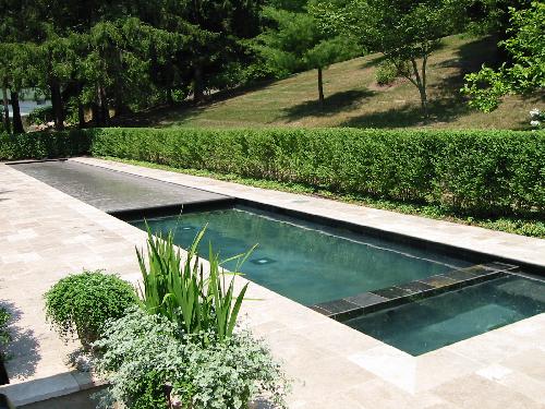 Home And Garden : lap pool Design