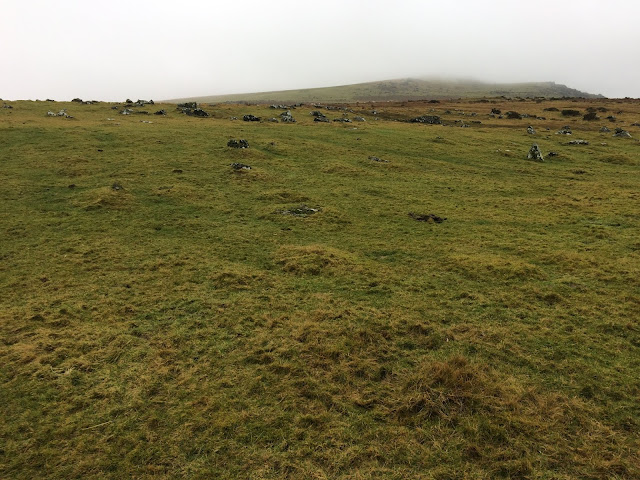 Max Piper - Tor Bagger: Dartmoor: A Misty Walk up to Sourton Tors