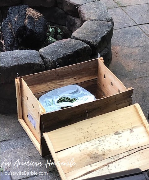 An American Housewife: "Gifted" a large crate of leftover green beans ...