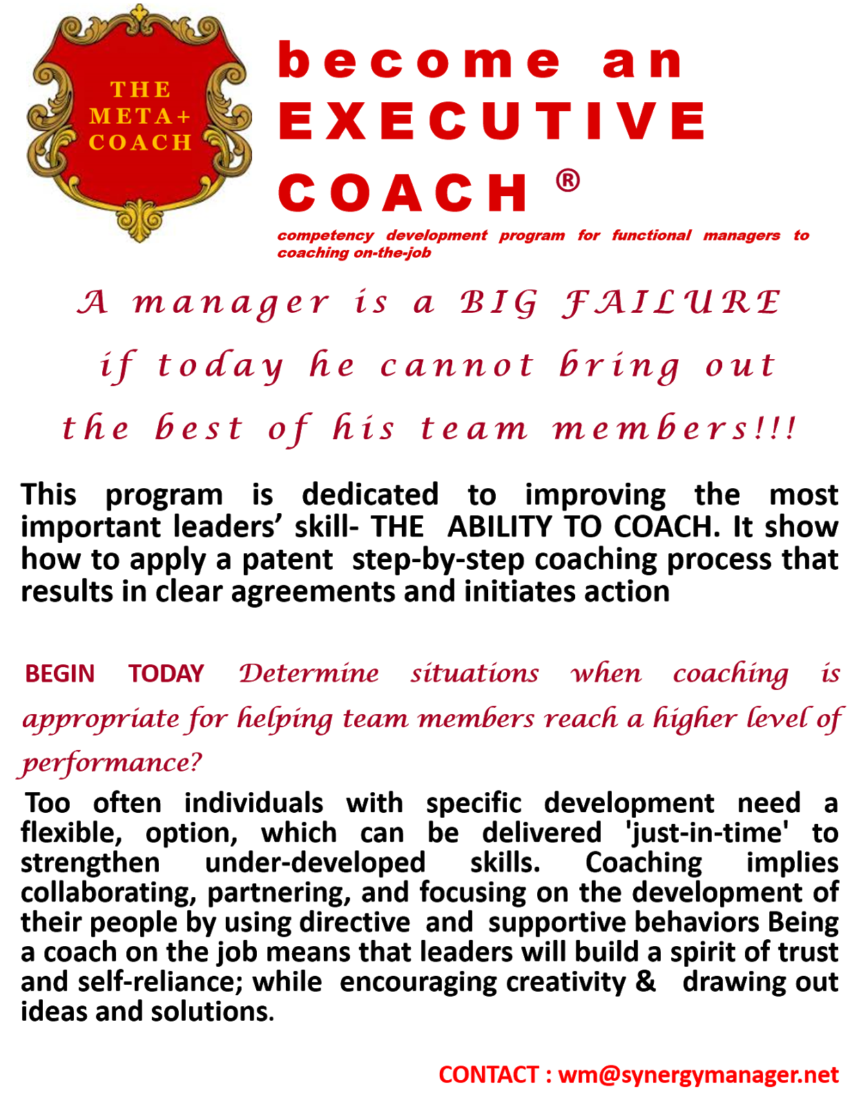 THE META+COACH: META+COACH the definitive model for executive coaching ...