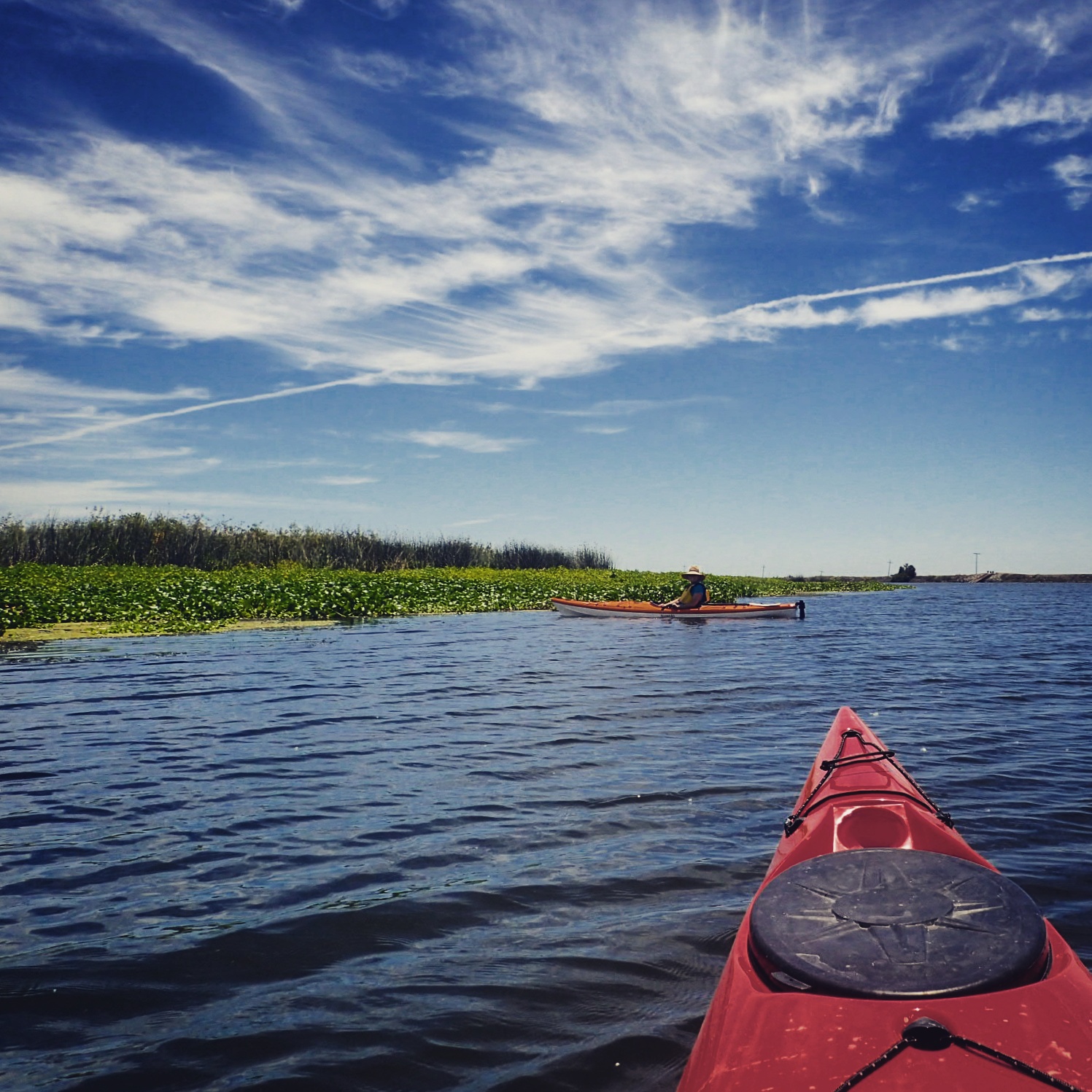 Kayaking the California Delta: Middle River & Little Mandeville Island