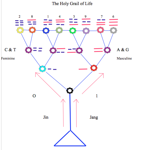 The Ramblings of The Rose: The 64 Hexagrams of the I Ching and DNA Codons