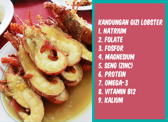 AQUOS FARM INDONESIA