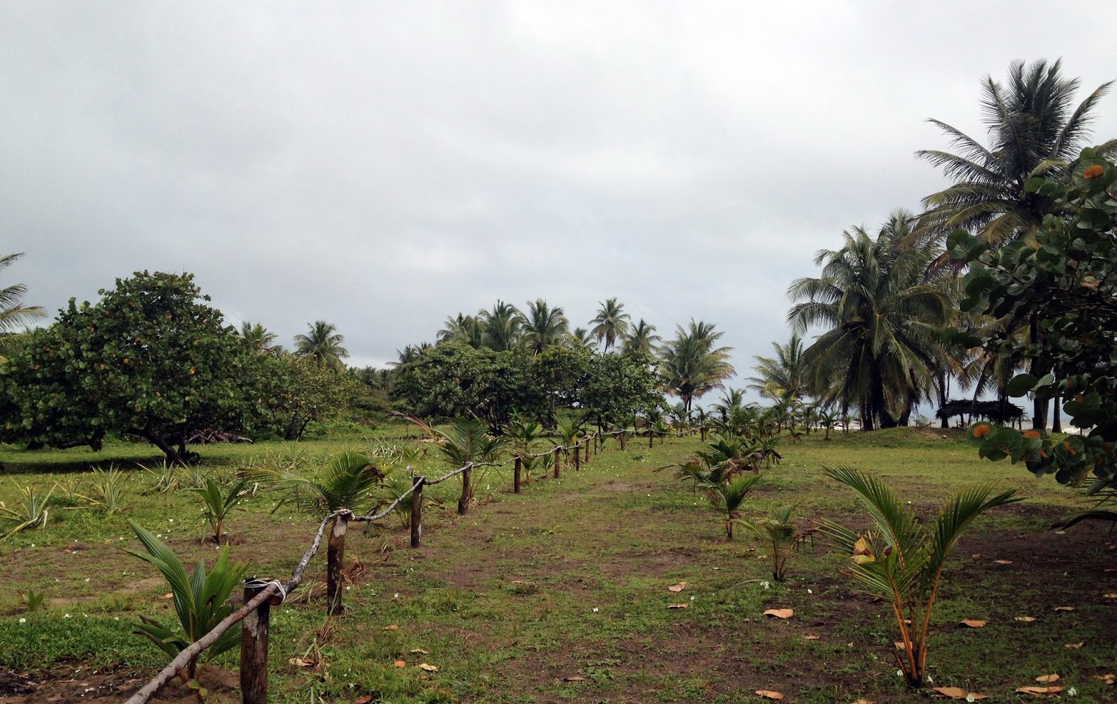 FALSE BLUFF NICARAGUA: Where the main 'avenida' goes