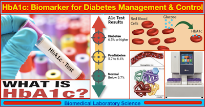 HbA1c - an important biomarker for diabetes management and control