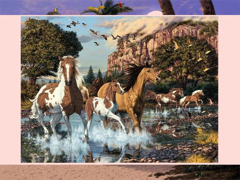 Soloillustratori: Steve Read