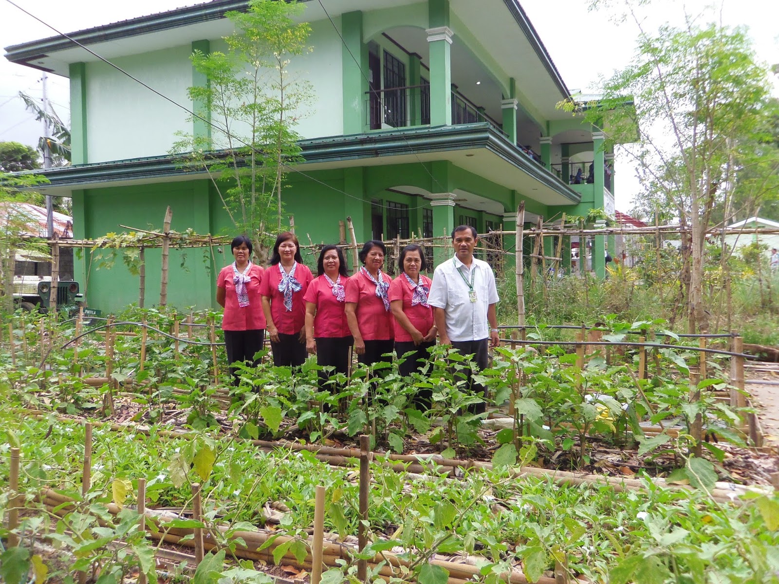 Silay: An Organic Paradise: DMLMHS named Champion in Gulayan sa Paaralan