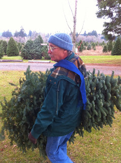 Sanna's Bag: In search of the wily Christmas tree