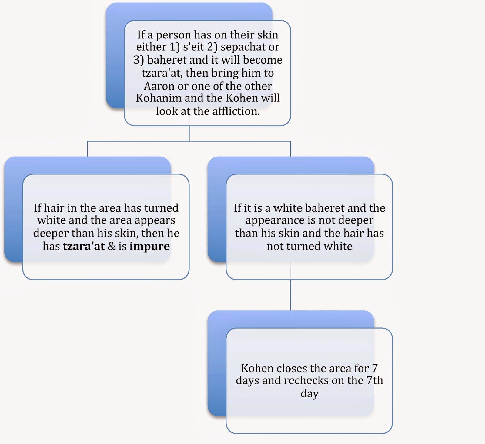 Parsha Math: Tazria- Conditional Statements and Flow Charts