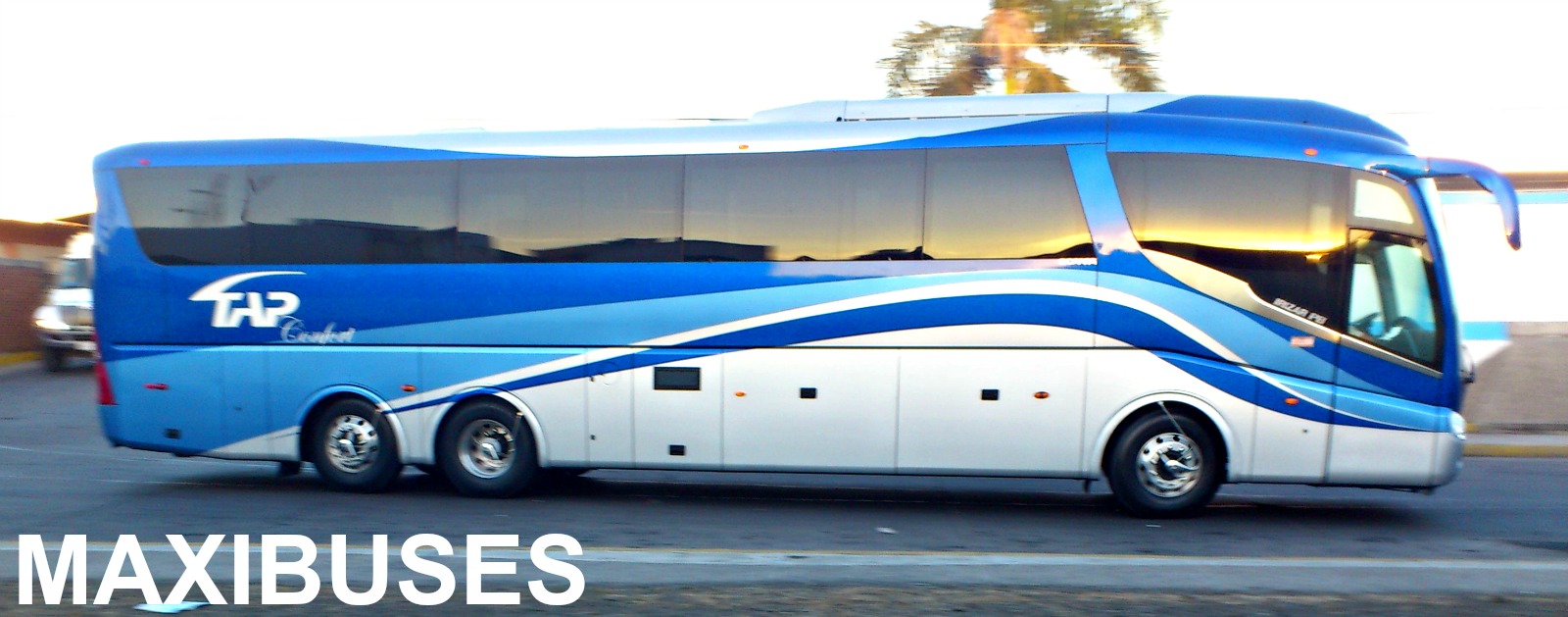 MAXIBUSES: TRANSPORTES Y AUTOBUSES DEL PACÍFICO, CONFORT (TAP CONFORT ...