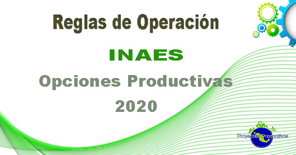 Reglas de Operación del Programa INAES 2020 | ProyAgro: Diseño y elaboración de Proyectos ...