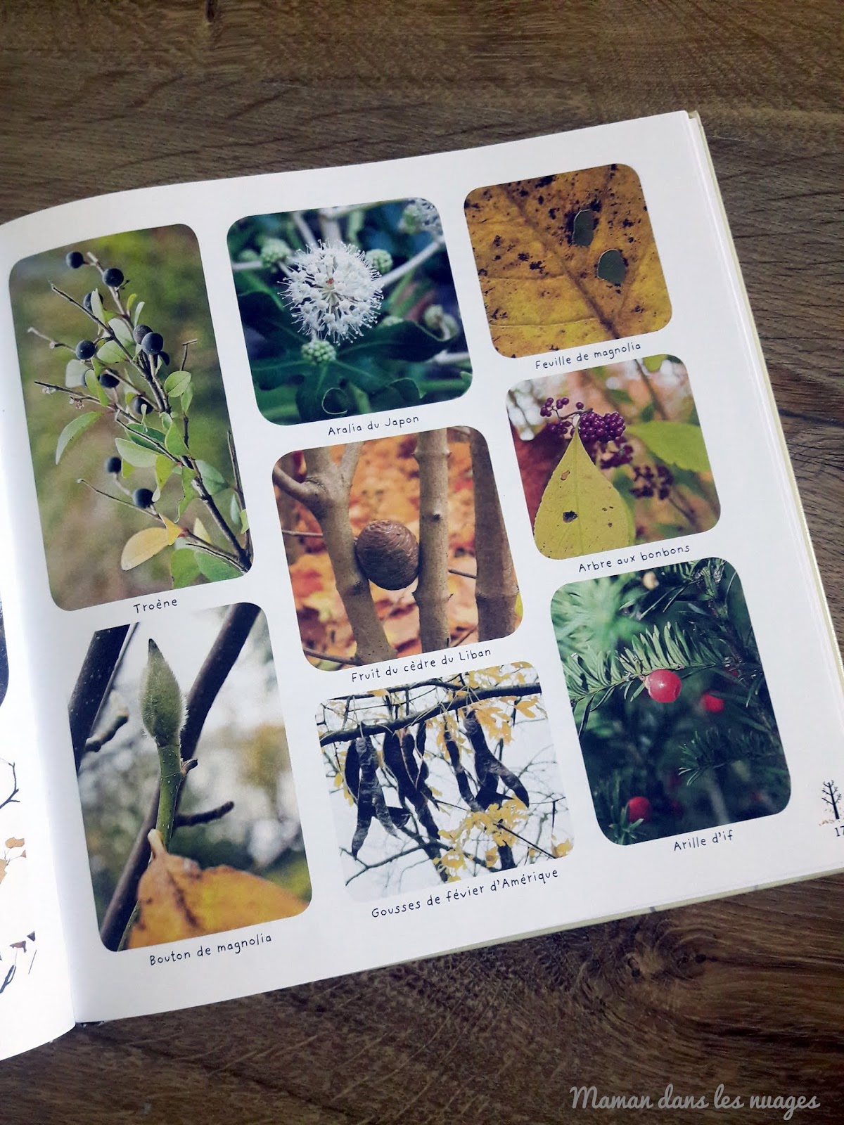 Maman dans les nuages: Lectures d'automne {sélection de livres} {Et ...