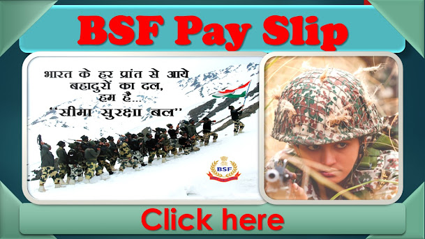 BSF e-ticketing platform launched in collaboration with IRCTC in ...