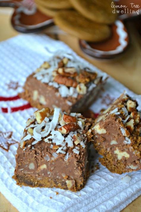 No Bake Chocolate Gingerbread Bars | The 36th AVENUE