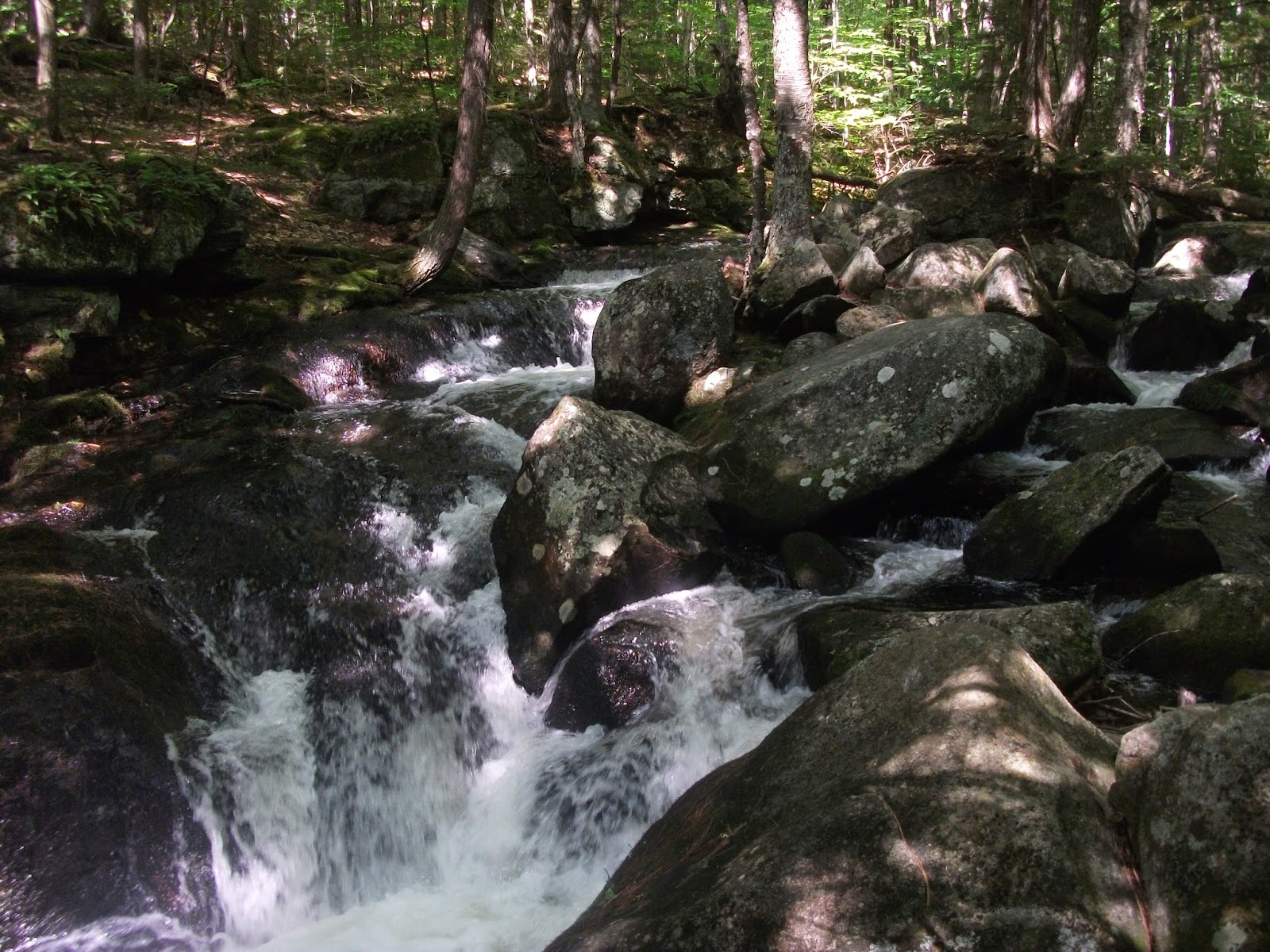 Sweet Adventures : Kezar Falls Gorge